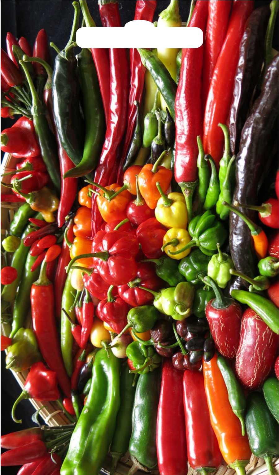 Pipari čilli MIXTURE OF COLOURS CHILLI , 0,4 g - Gartda