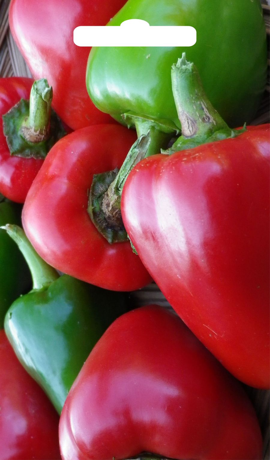 Paprika MIRA, 0,5 g - Gartda